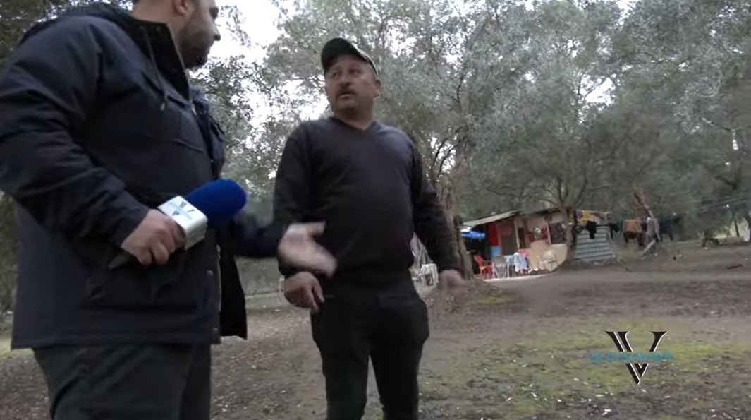 Furti di cani, l'ombra del clan sugli allevamenti clandestini: "blitz ...